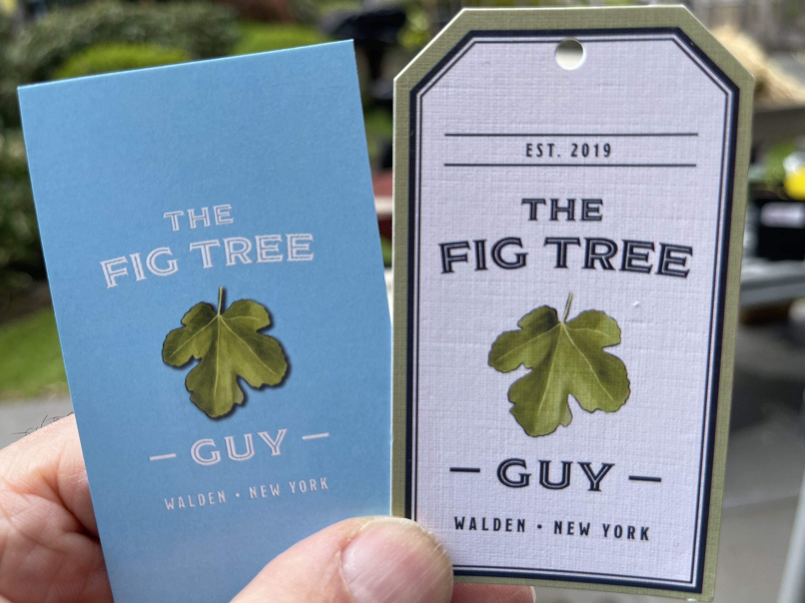 Welcome to a website dedicated to fig cultivation. - The Fig Tree Guy